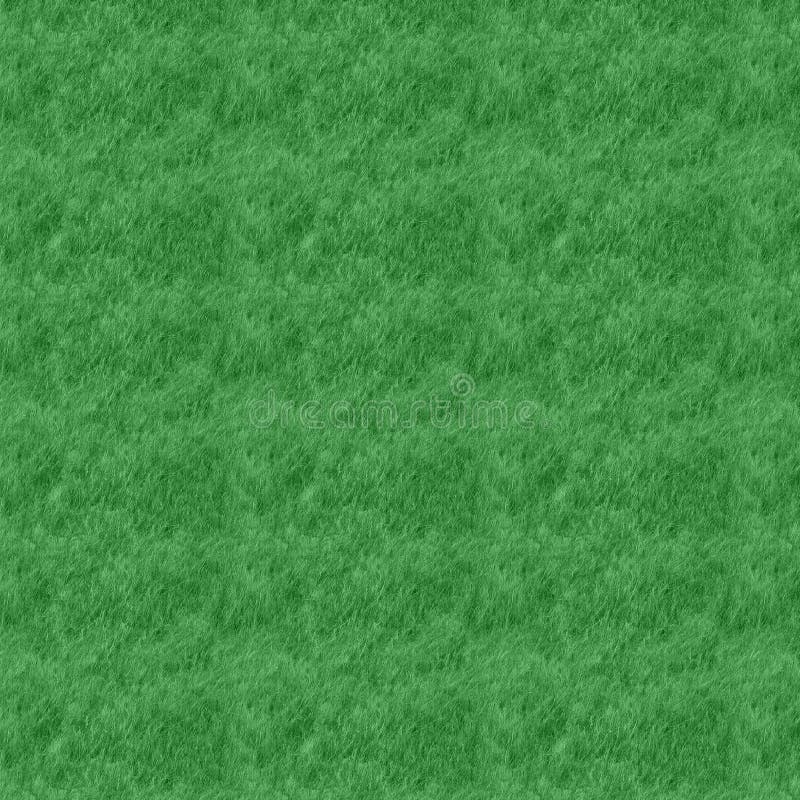 Beautiful Grass Texture in High Resolution Stock Image - Image of plant ...