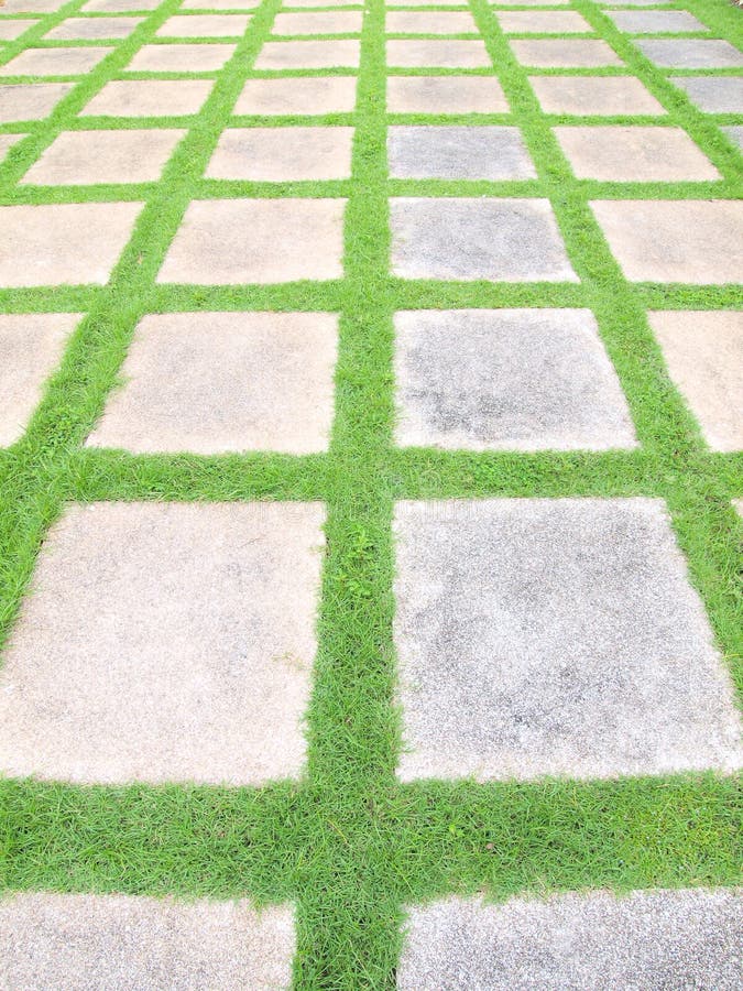 Grass tiles in garden. stock photo. Image of grass, boulevard - 4952748