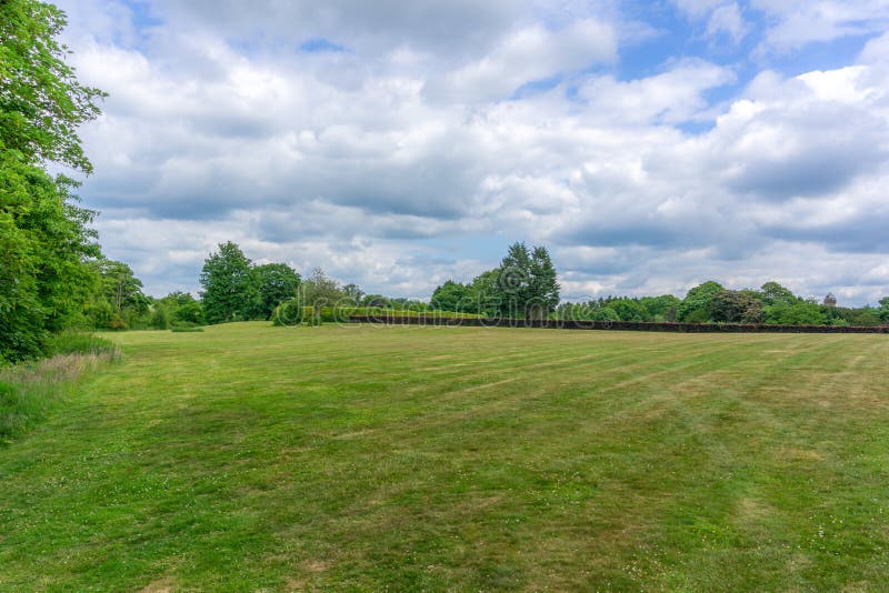 Beautiful Grassy Fields and Trees in the Distance Stock Photo - Image ...