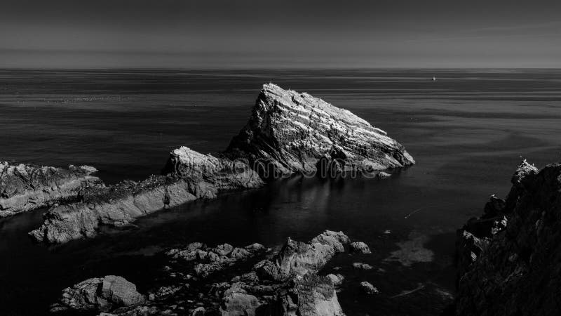 Beautiful Grayscale of a Rocks in the Sea Stock Photo - Image of beach ...