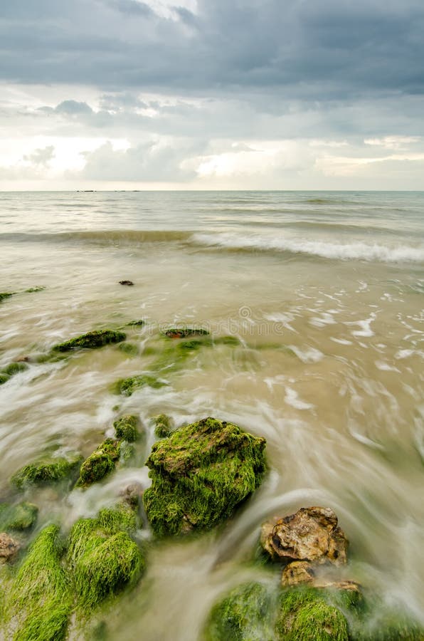 Beautiful Green Algae on the Stone at the Beach during Low Tide Water ...
