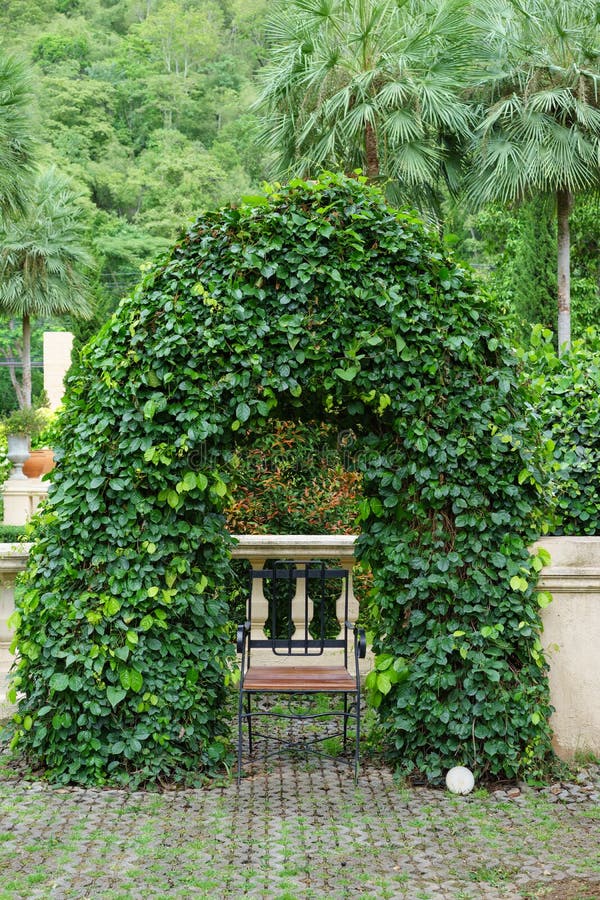 Beautiful Green Arch with Decorative Tree at the Hotel. Stock Image ...