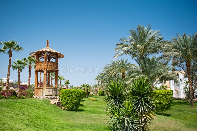 Beautiful Green Area of the Hotel with Palm Trees Stock Photo - Image ...