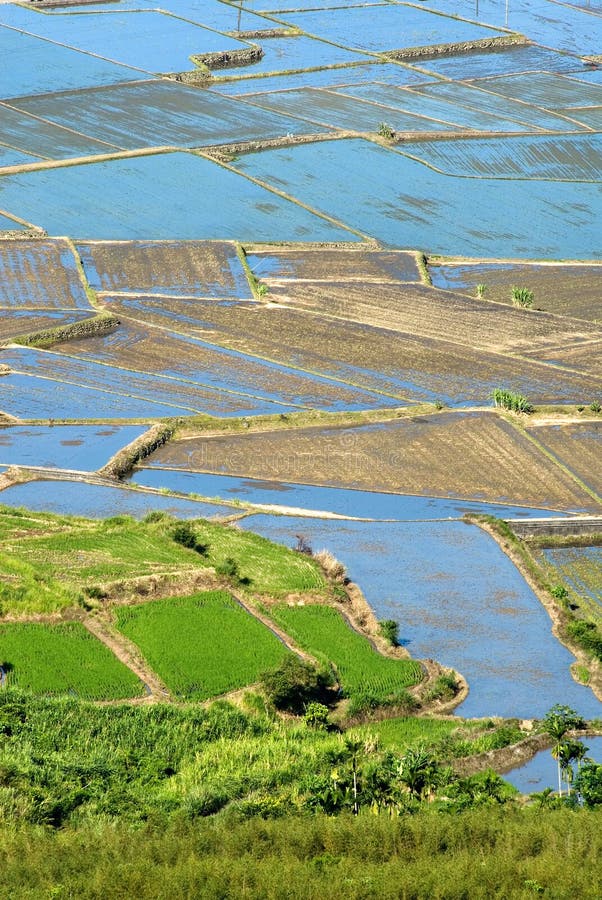 Beautiful Green and Blue Farm Stock Image - Image of countryside, color ...