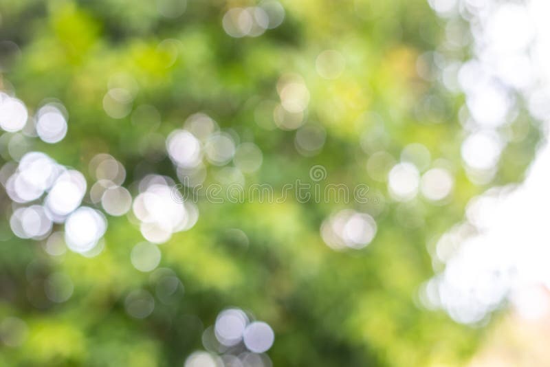 Beautiful Green Bokeh on Naturel Background. Abstract Blurred ... Beautiful Green Bokeh on Naturel Background. Abstract Blurred ...