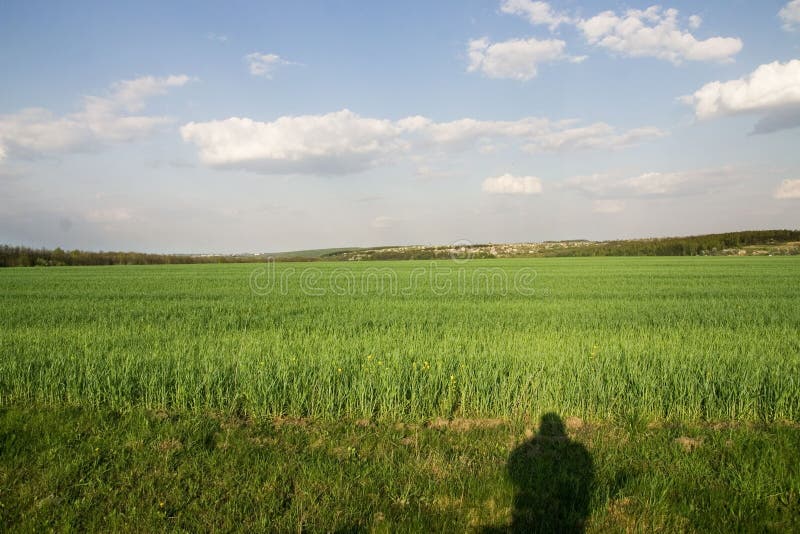 Beautiful Green Field Picture. Image: 2644588