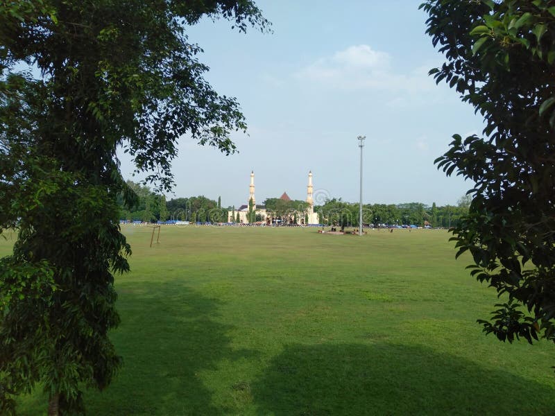 Beautiful Green Field with Shady Trees Stock Photo - Image of hill ...