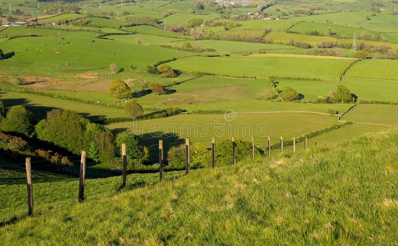 Green fields in England stock image. Image of nature - 248924431