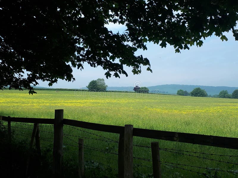 Green Pastures stock photo. Image of beautiful, grass - 120038146