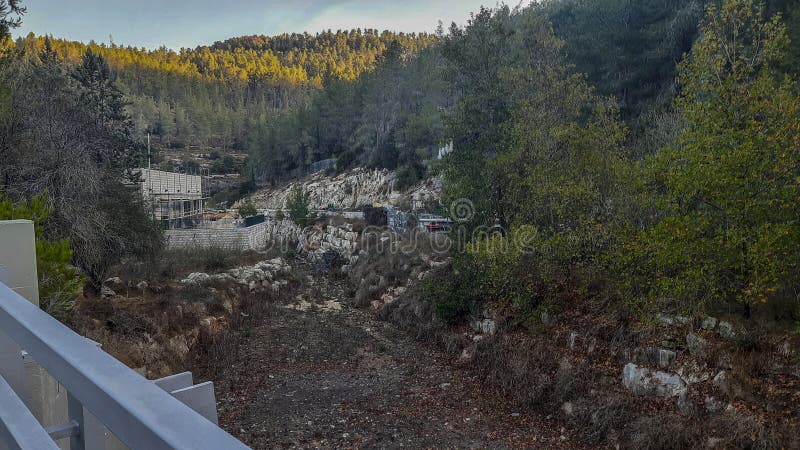 Beautiful Green Forest in Jerusalem Stock Photo - Image of natural ...