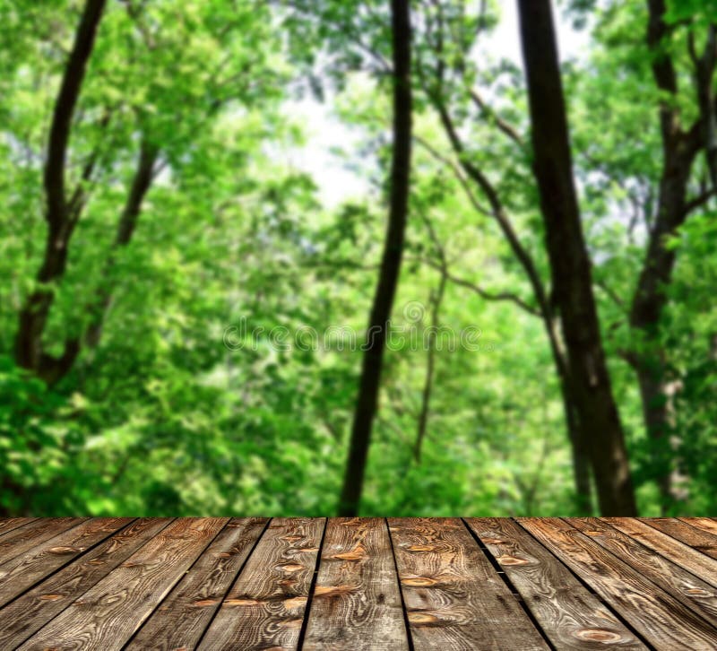 Beautiful Green Forest with Wood Planks Floor Stock Photo - Image of ...