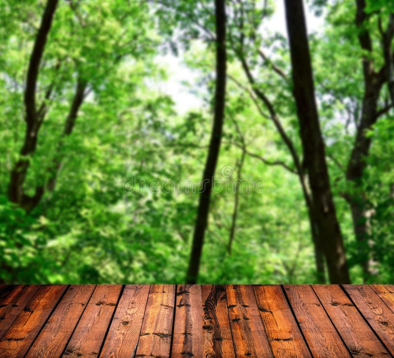 Beautiful Green Forest with Wood Planks Floor Stock Image - Image of ...