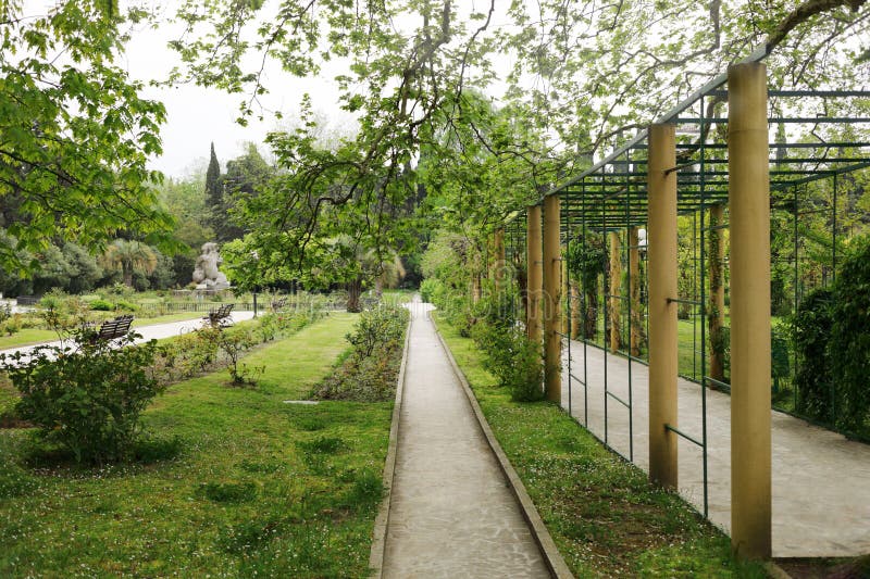 Beautiful Green Garden with Paths, Bushes, Stock Image - Image of path ...