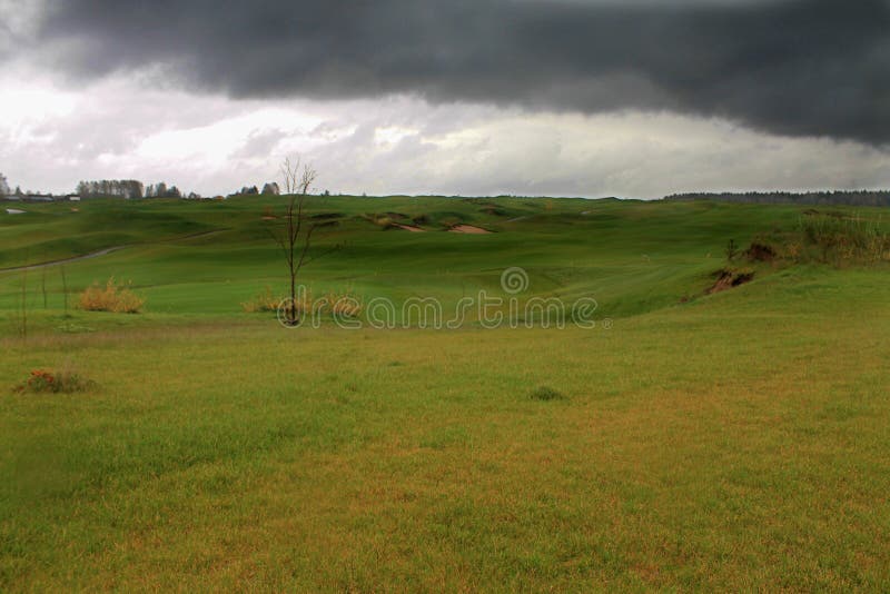 Golf course after rain stock image. Image of landscape - 144028835