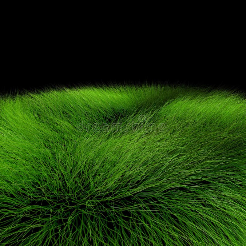 Beautiful green grass stock photo. Image of isolated - 11050562