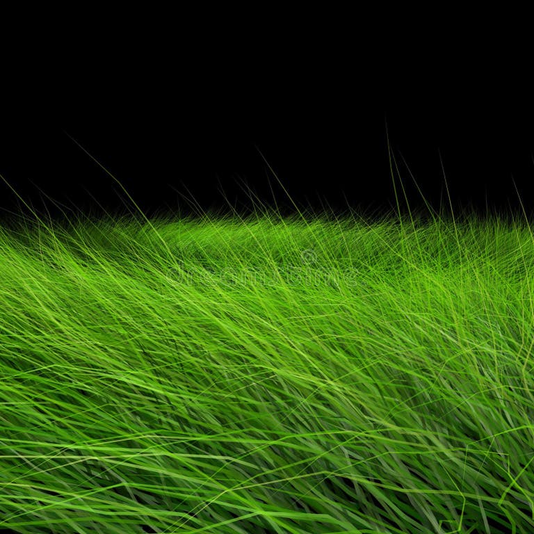 Beautiful Green Yard Background Stock Illustrations – 3,250 Beautiful ...