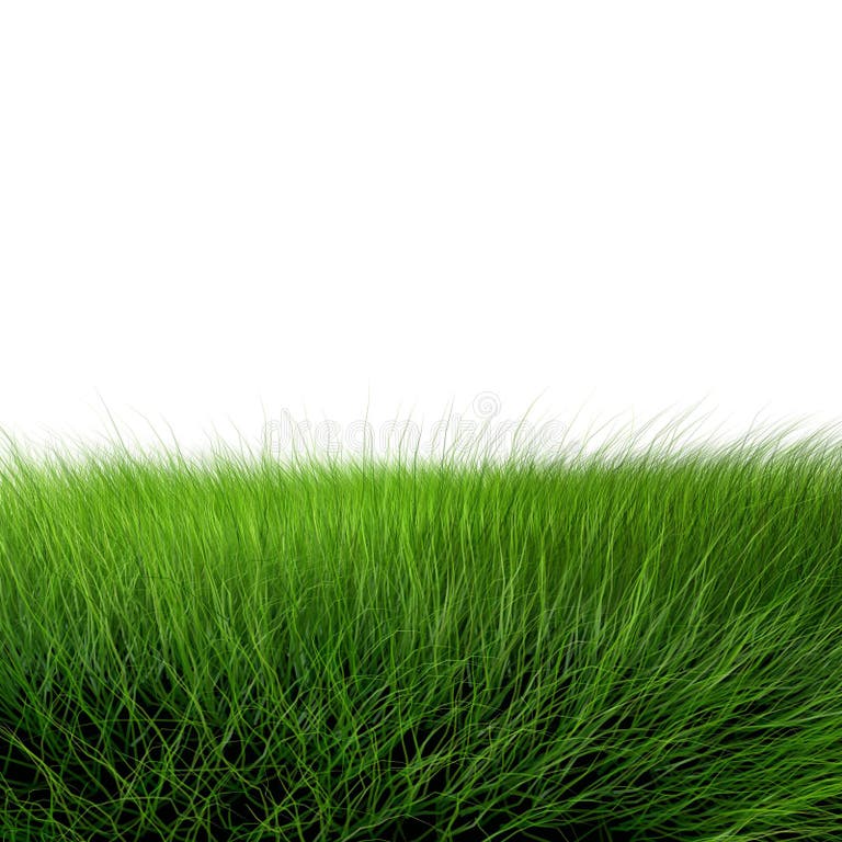 Beautiful Green Yard Background Stock Illustrations – 3,250 Beautiful ...