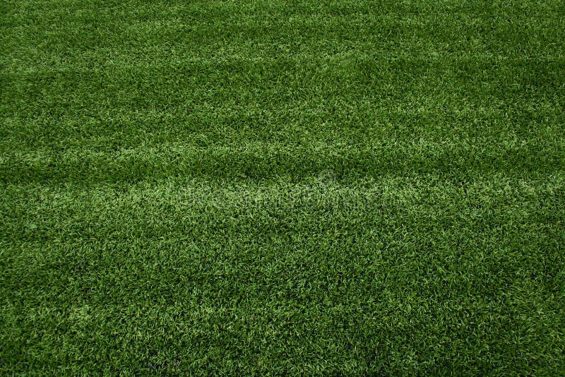 Beautiful Green Grass stock image. Image of grass, natural - 15082369