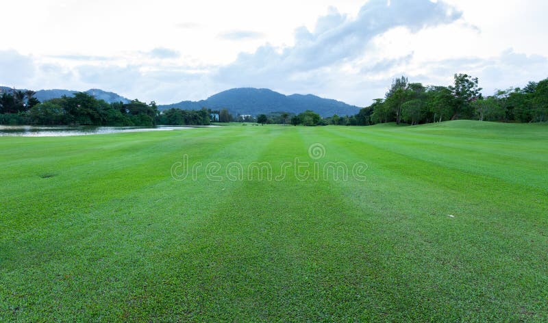 Beautiful Green Grass Field of Golf Course Stock Photo - Image of ...
