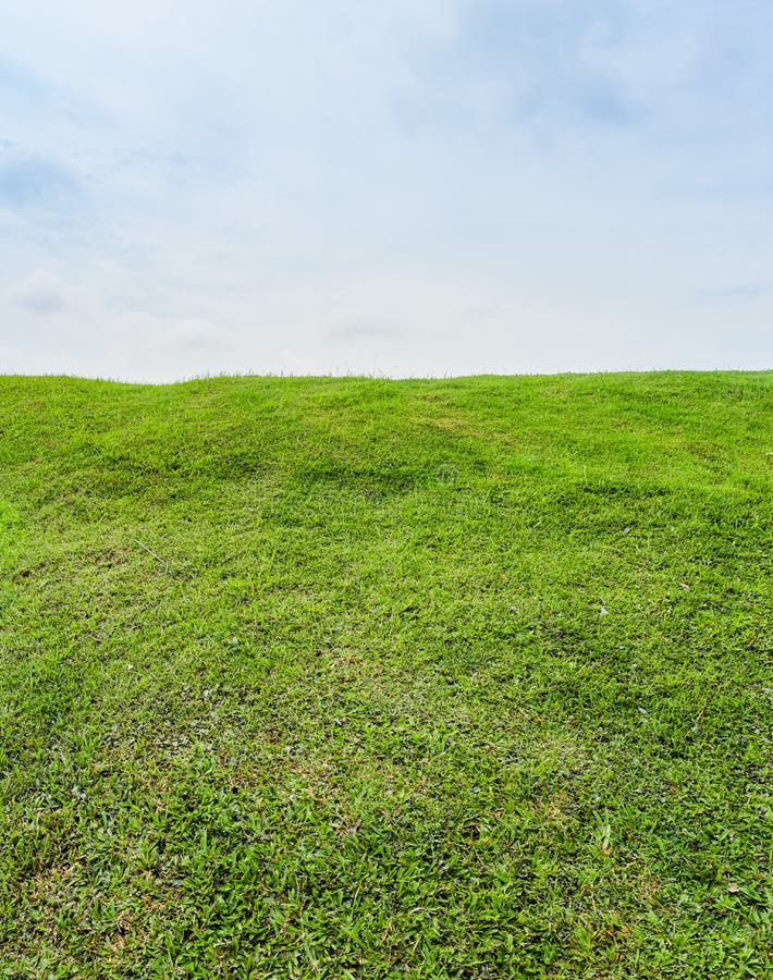Beautiful Green Grass Field on Small Hill and Blue Sky Stock Image ...