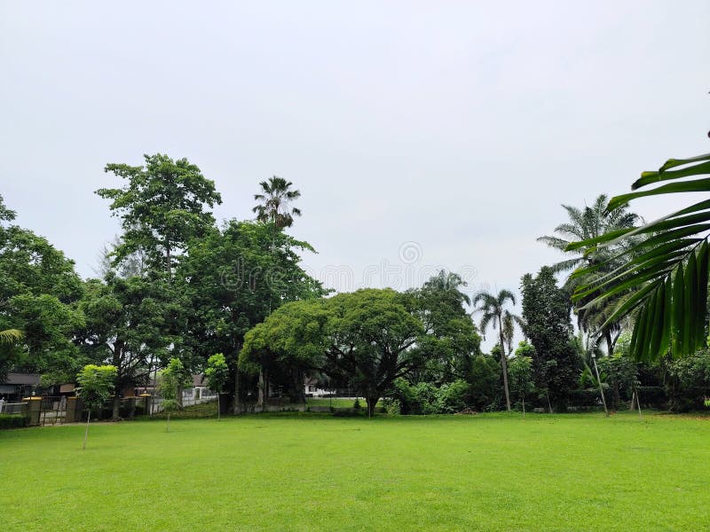 Beautiful Green Grass Field and Surrounded by Trees Makes it Cool Stock ...