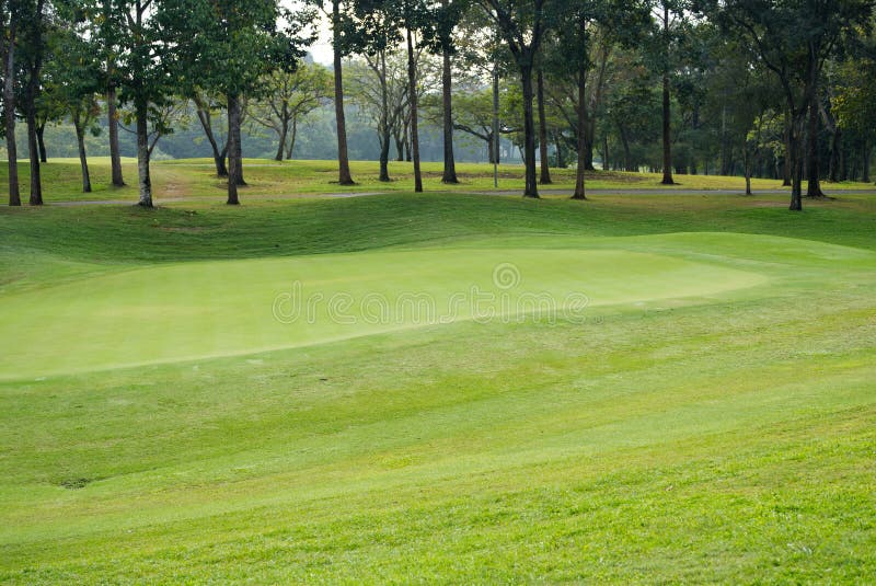 Beautiful Green Grass Golf Course Stock Photo - Image of club, game ...