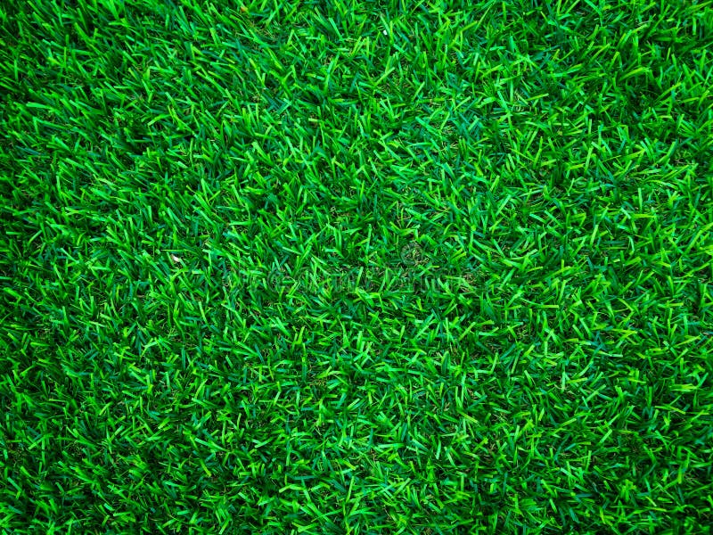 Beautiful Green Grass Pattern from Golf Course for Background. Copy ...