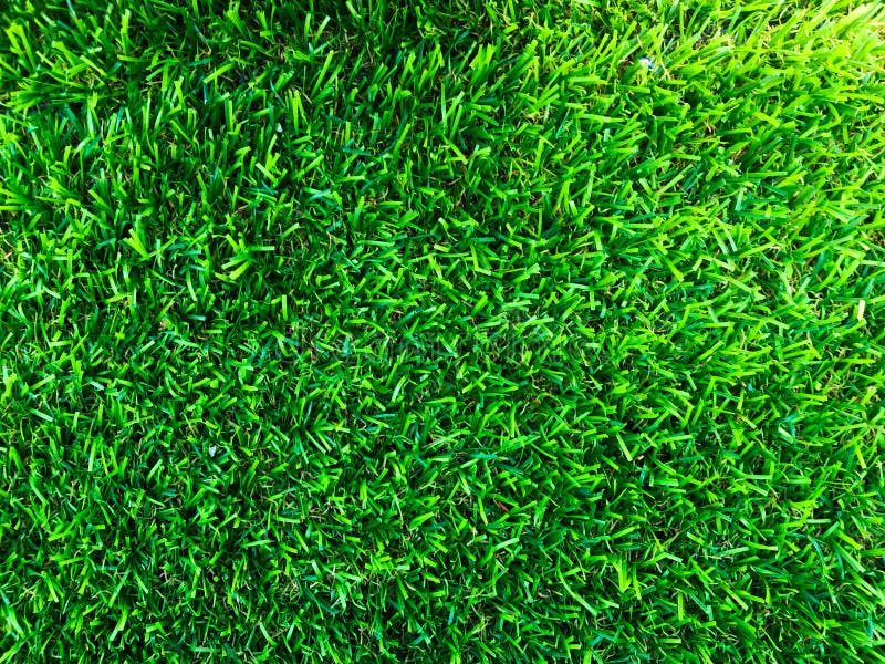 Beautiful Green Grass Pattern from Golf Course for Background. Copy ...