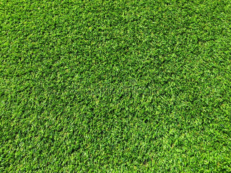 Beautiful Green Grass Pattern from Golf Course for Background. Copy ...