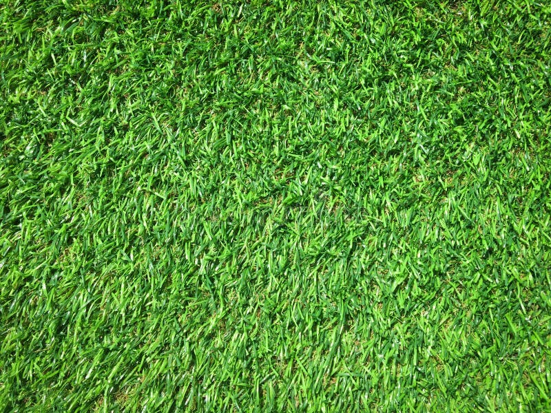 Beautiful Green Grass Pattern from Golf Course for Background. Copy ...