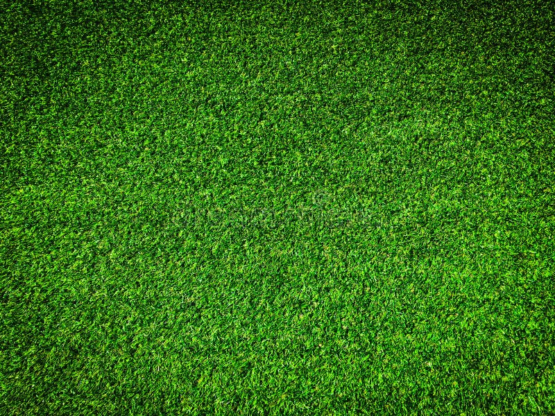 Beautiful Green Grass Pattern from Golf Course for Background. Copy ...
