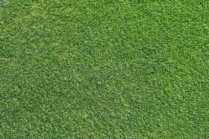 Golf Grass Texture