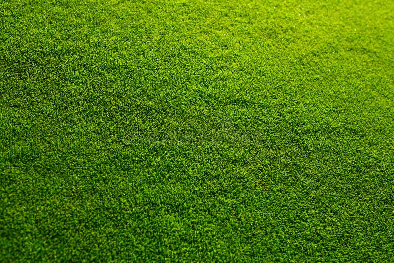 Beautiful Green Grass Texture from Golf Course Stock Image - Image of ...