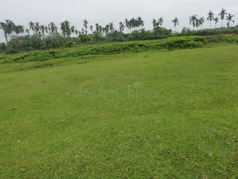 Kunjanagar Stock Photos - Free & Royalty-Free Stock Photos from Dreamstime