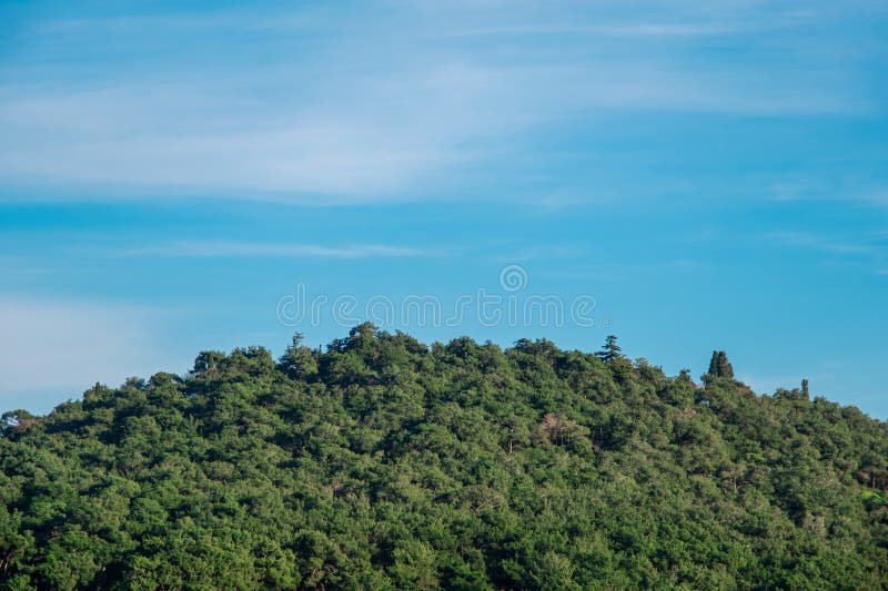 Beautiful Green Hill. Fully Tree Hill Isolated with Sky Stock Photo ...