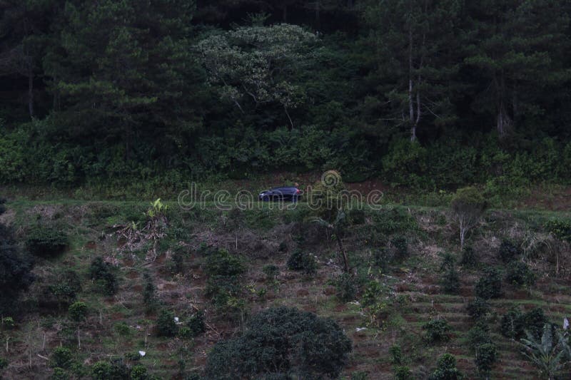 Beautiful Green Hill in Indonesia Stock Photo - Image of meadow, leaf ...