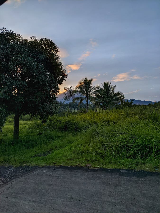 Beautiful and Green Hilly Views Stock Image - Image of mountain, green ...