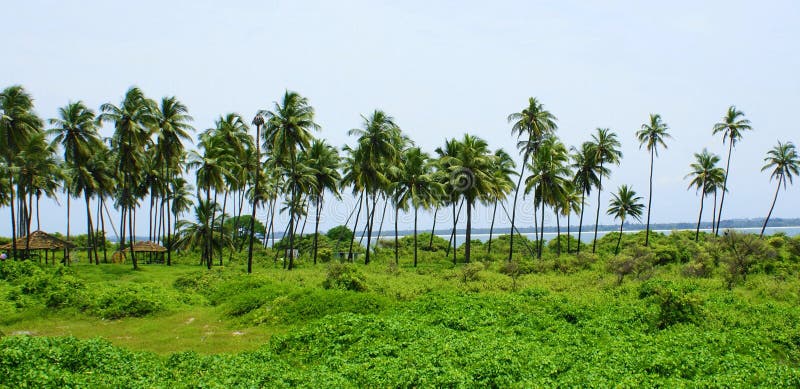 Beautiful green landscape stock image. Image of landscapes - 11537351