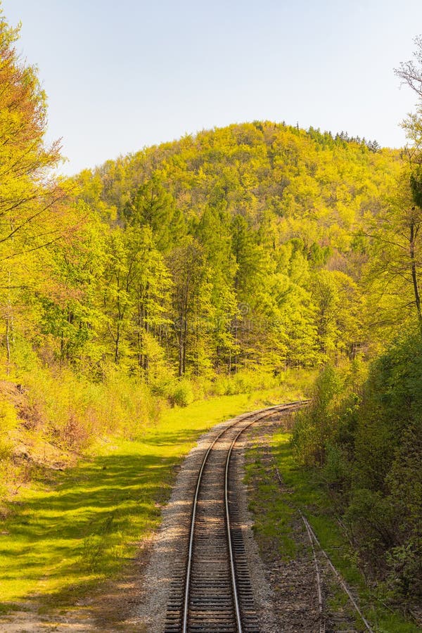Beautiful Green Landscape with Single Train Track in the Middle of ...