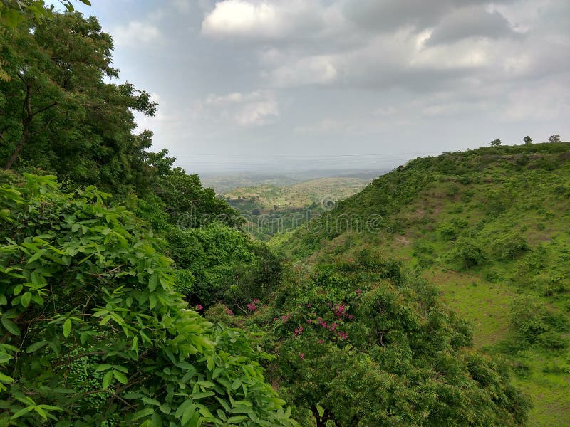 Beautiful Green Landscape View of a Hill from the Top of a Tree in a ...