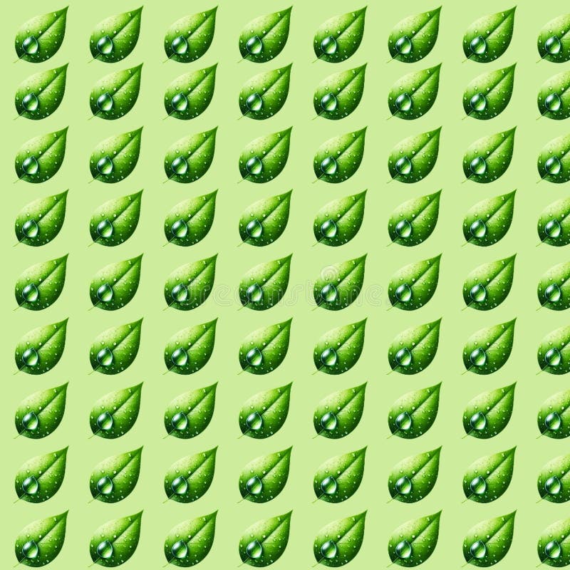 Beautiful Green Leaves Background, Leaves Pattern, Luminous Water Drops ...