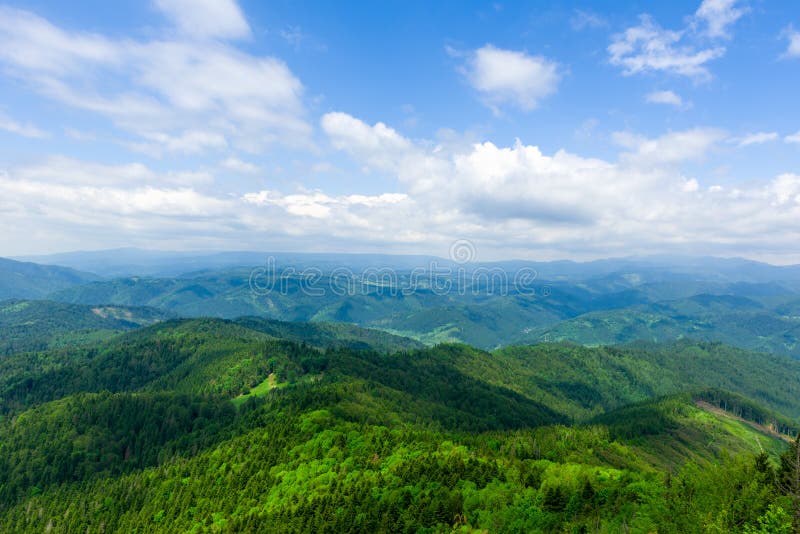 Beautiful Green Mountain Landscape with Trees Stock Image - Image of ...