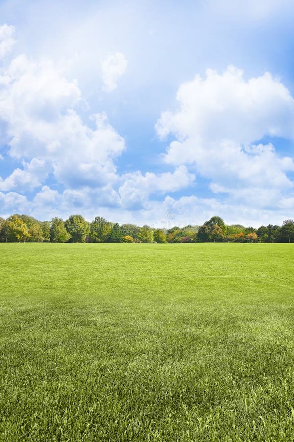 Beautiful Green Mowed Lawn with Trees and Sky on Background - Im Stock ...