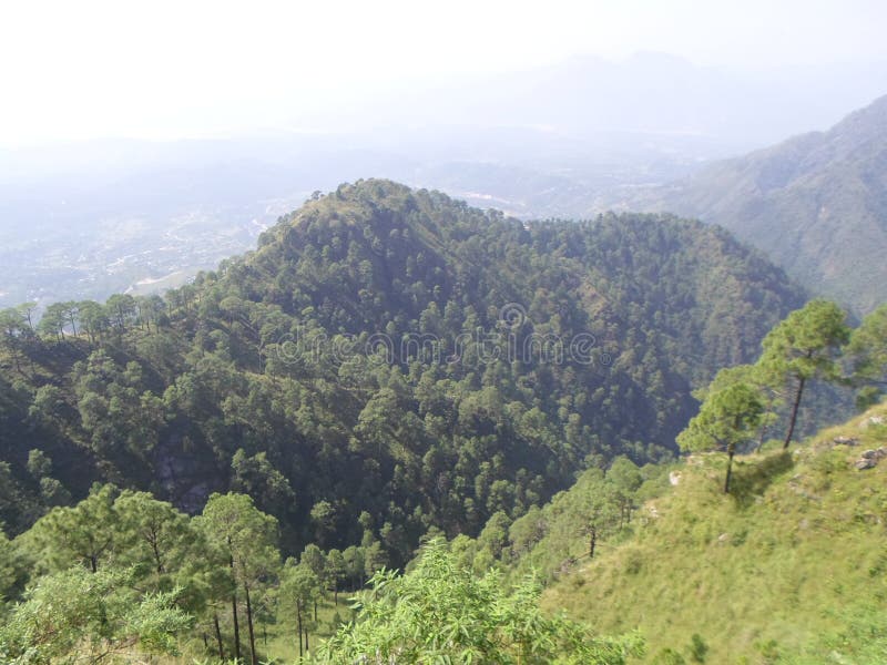 Greenery stock photo. Image of natural, green, view - 110133546