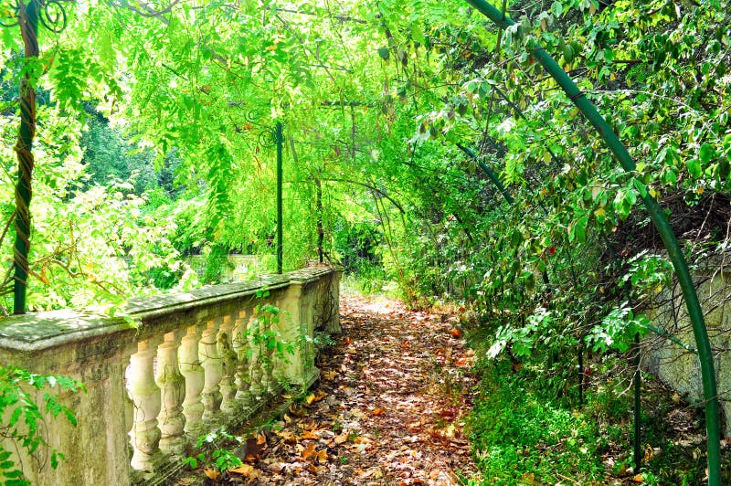 Beautiful green park stock photo. Image of lane, field - 39501804