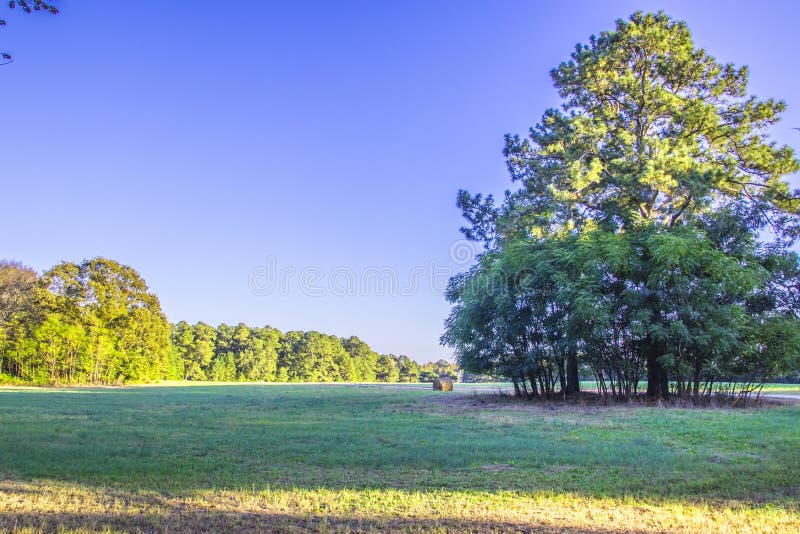 Beautiful green pasture stock image. Image of agricultural - 198995199