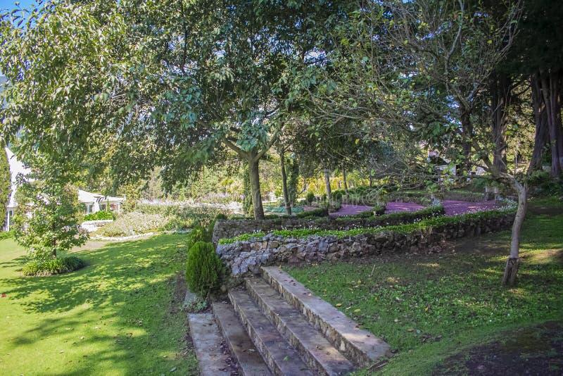 Beautiful Green Path Under Trees Made of Bricks with Flowers Editorial ...