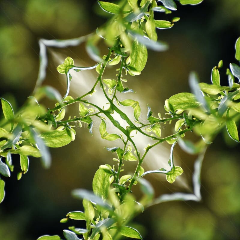 Beautiful Green Pattern Design for Fabric and Decorations Stock Photo ...