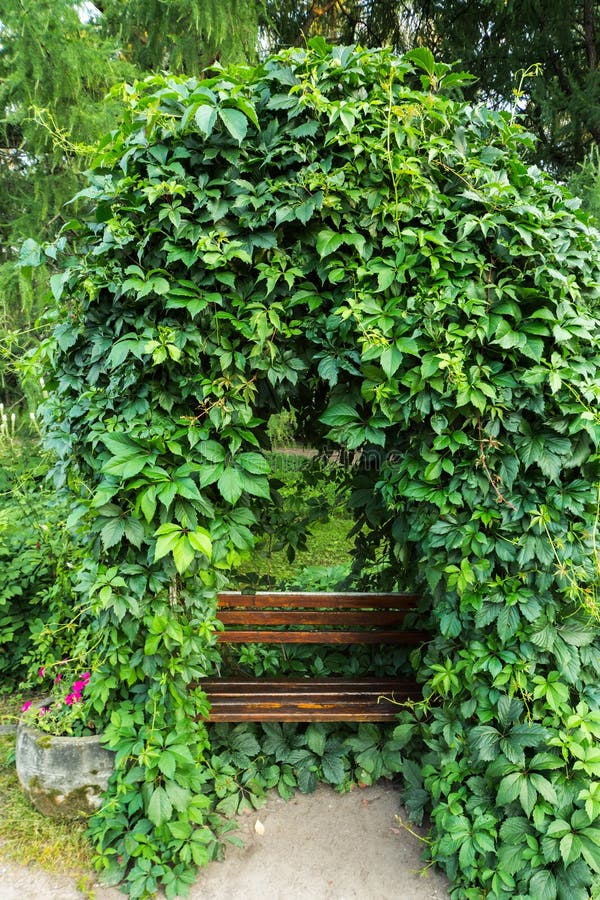 Beautiful green place stock photo. Image of natural, archway - 32483138