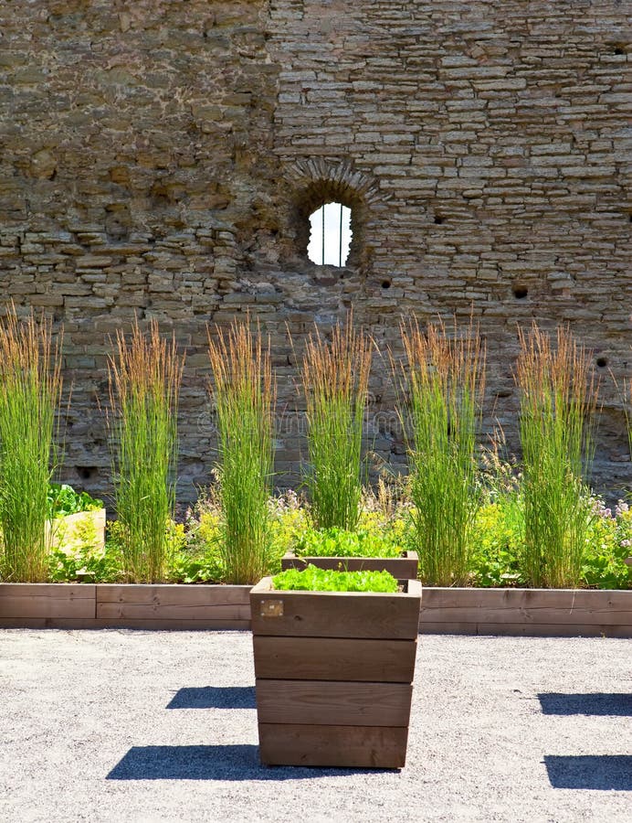 Beautiful Green Plants at an Ancient Fortification. Stock Image - Image ...